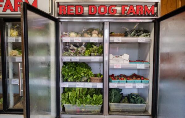 Red Dog Farm